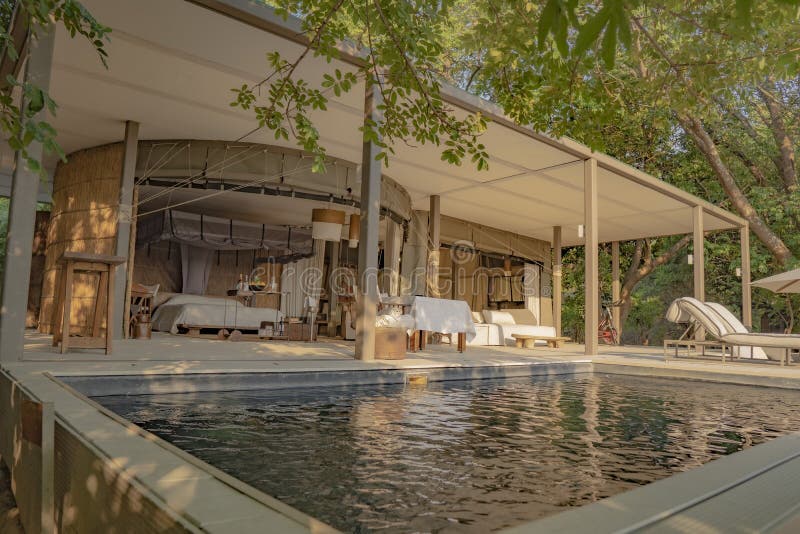 Modern Room in a Resort by the Pool Editorial Image - Image of south ...