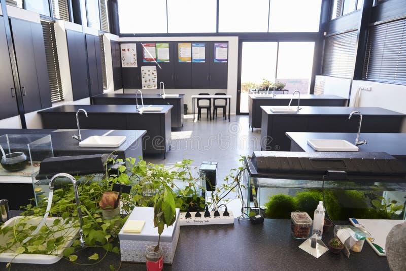 Modern Science Classroom in an Elementary School Stock Photo - Image of ...