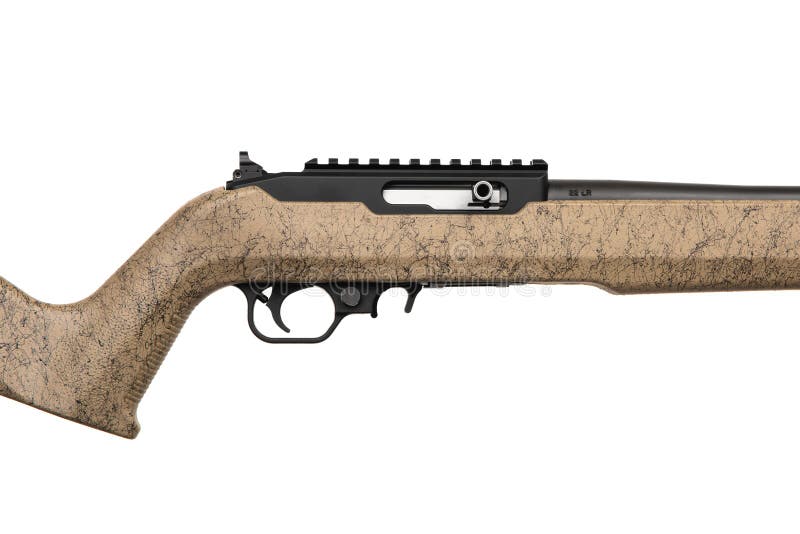 Modern Semi-automatic Small-caliber .22lr Rifle. Sports Carabiner with ...