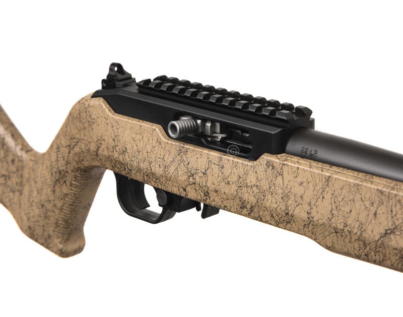 Modern Semi-automatic Small-caliber .22lr Rifle. Sports Carabiner with ...