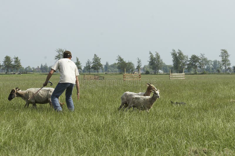 Active Splitting Aurora Borealis Arc Stock Image - Image of phenomenon ...