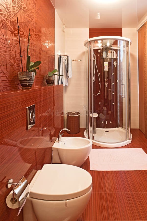 Modern Shower Cabin and Bidet Stock Photo - Image of showerhead, home ...