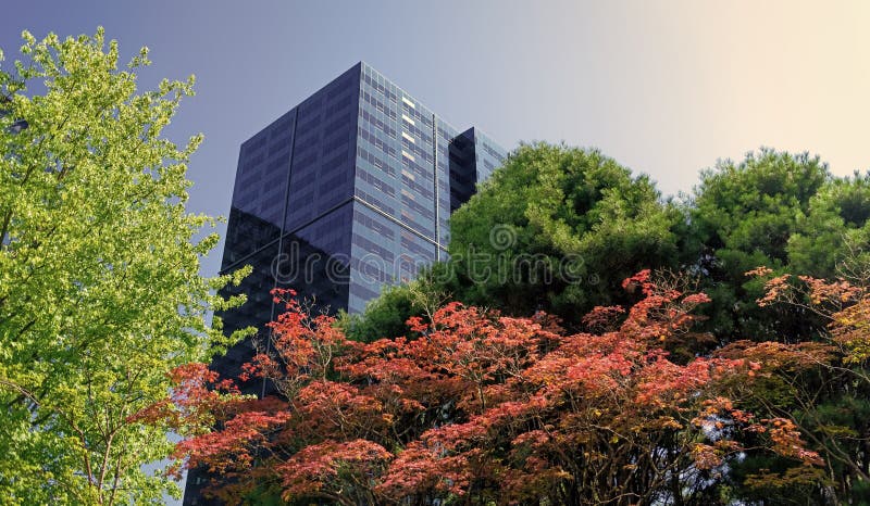 Modern Skyscraper Building in Seattle. Architectural Building in ...