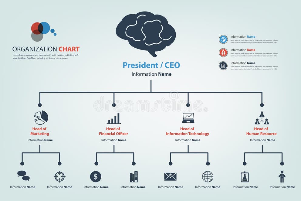 Modern and Smart Organization Chart in Vector Style (eps10) Stock ...