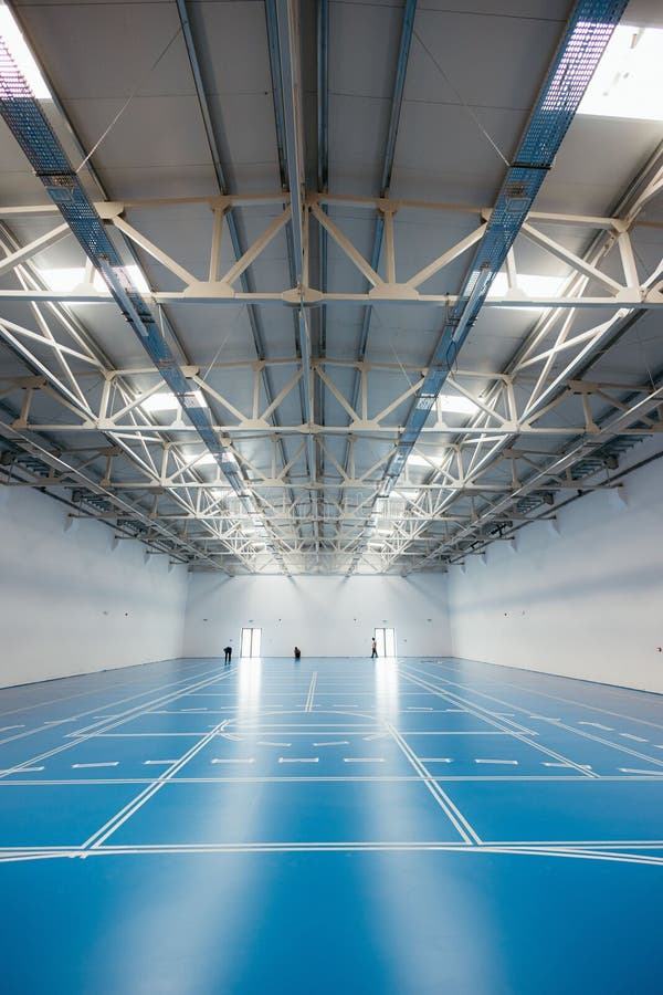 Modern Sports Hall Interior with Blue Flooring Stock Illustration ...