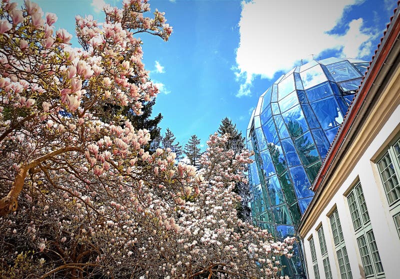 Modern spring stock photo. Image of park, modern, infrastructure ...