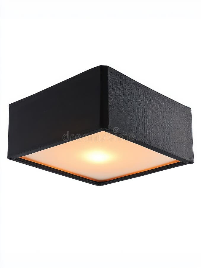 Modern Black Textured Square Ceiling Light Fixture Stock Illustrations ...