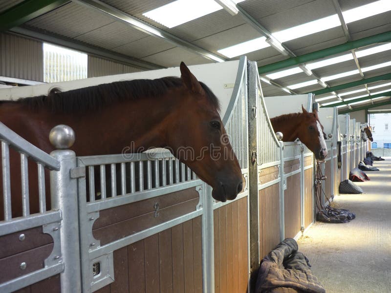 Modern stables stock photo. Image of brown, hobby, stable - 50691914