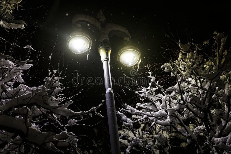 Modern Street Lamp in Winter. Snow in the Trees Around Stock Image ...