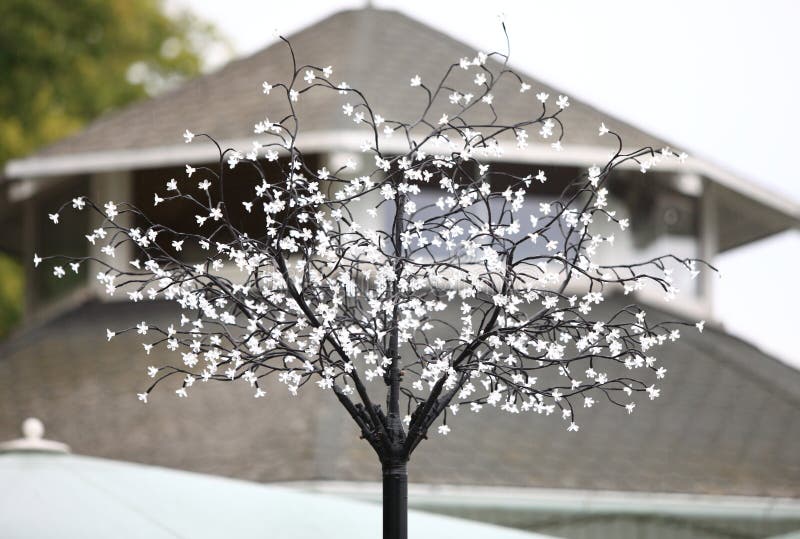 The Modern Street Light. Led Tree Lighting Decoration. Stock Photo ...