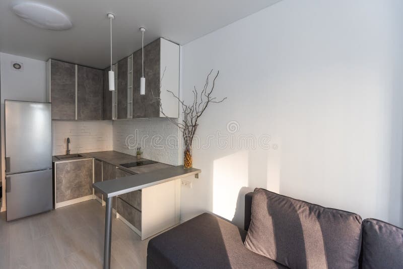 Modern Studio Flat with Table, Chairs, Couch. Stock Photo - Image of ...