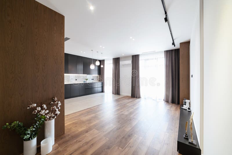 Modern Studio Kitchen Interior Design with Wood Flooring Stock Image ...