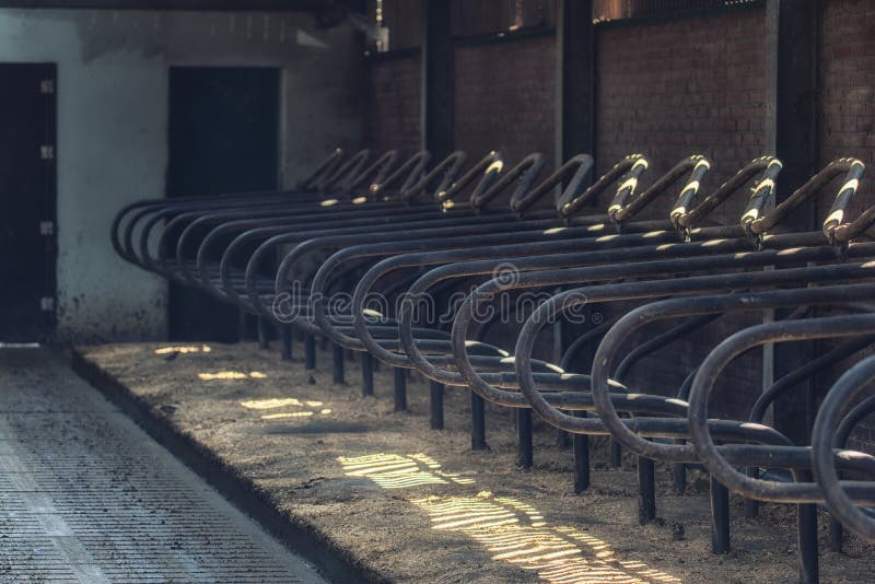 Inside of Empty Dairy Barn stock image. Image of farming - 118674939