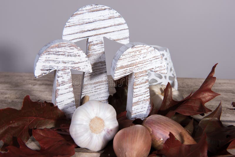 Modern Stylish Autumn Decoration with Garlic and Onions Stock Photo ...