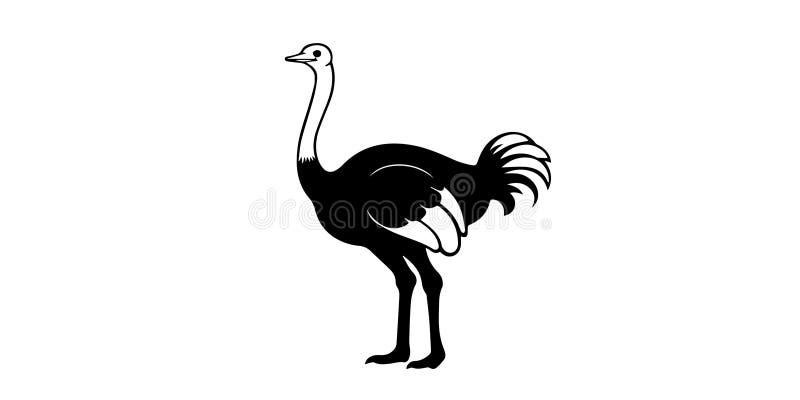 Modern Stylized Vector Ostrich with Elegant Feather Details Stock ...