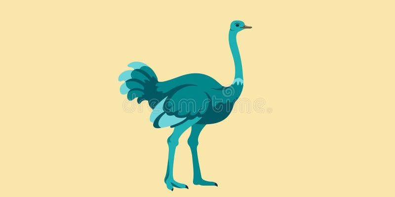 Modern Stylized Vector Ostrich with Elegant Feather Details Stock ...