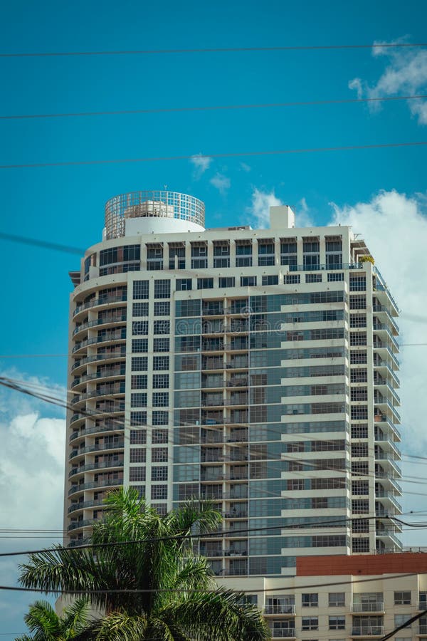 Modern Tall Building Surrounded by Lush Palm Trees and Power Lines ...