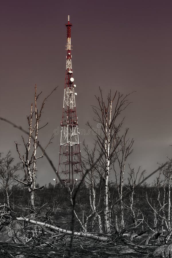Modern Telecommunication Tower and Destroyed Forest Tundra Stock Photo ...