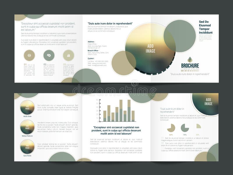 Three Fold Business Brochure Set. Stock Illustration - Illustration of ...
