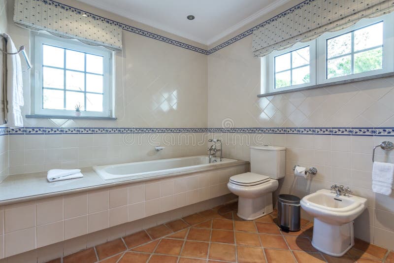 Modern Toilet with Bathtub and Beautiful Decor. Stock Photo - Image of ...