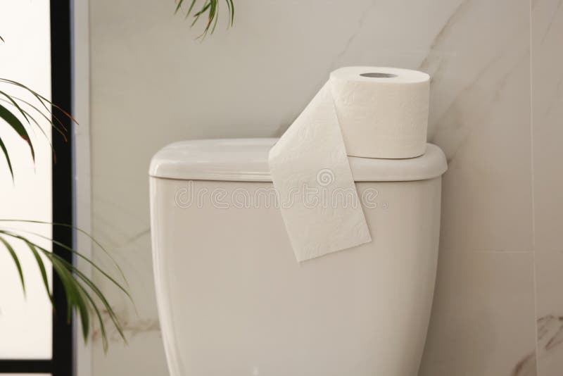 Modern Toilet Bowl with Roll of Paper Stock Image - Image of lavatory ...