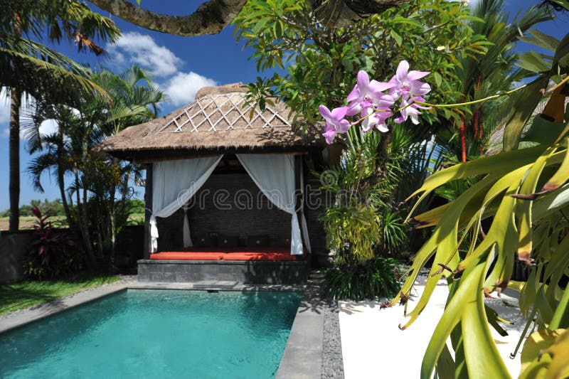 Modern Tropical Villa with Swimming Pool Stock Photo - Image of garden ...