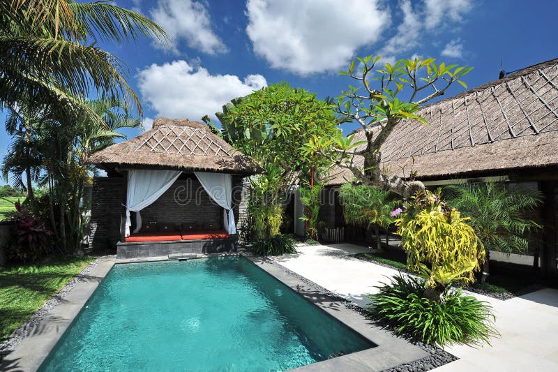 Modern Tropical Villa with Swimming Pool Stock Photo - Image of garden ...