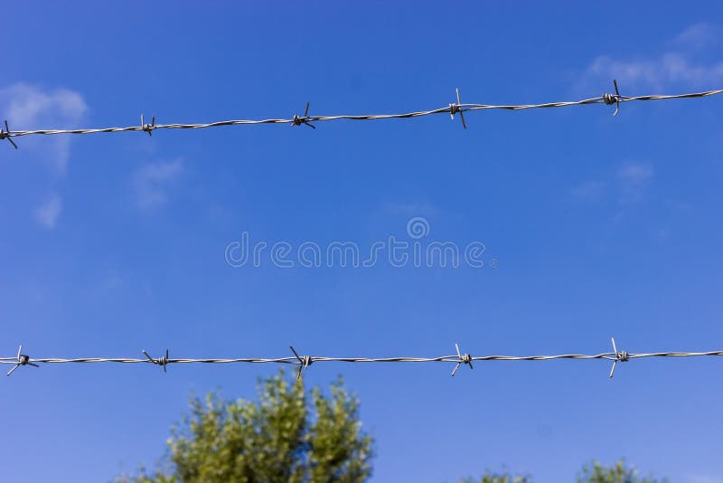 Modern Twisted Barbed Wire Stretched on a Background of Sky Stock Image ...