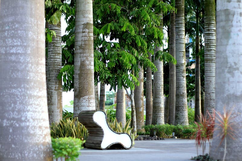 A Modern Type of Bench at the Public Park Full with Palm Trees during ...