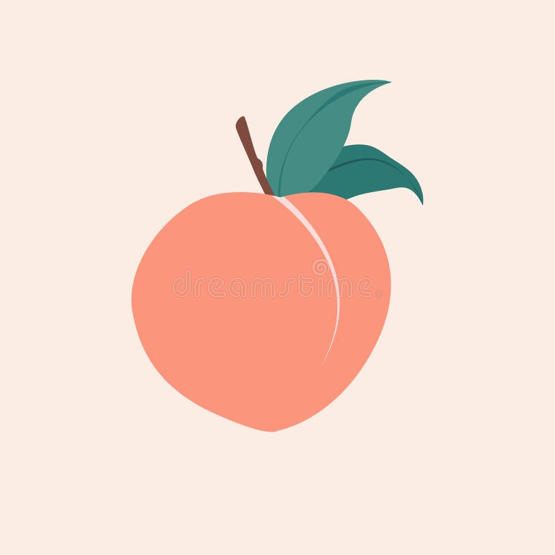 Peach icon stock vector. Illustration of icon, fruits - 208786082