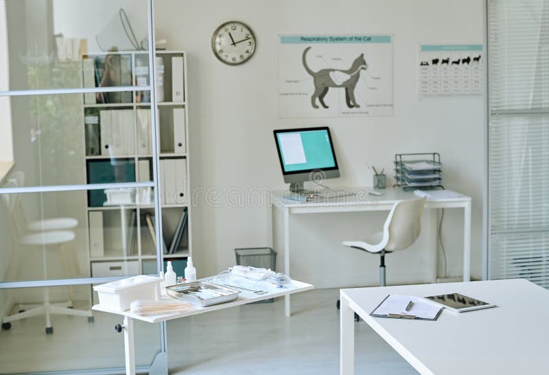 Modern Vet Clinic with Workplace Stock Photo - Image of clinic ...