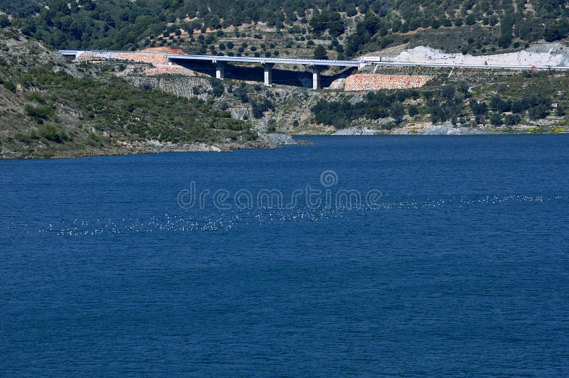 Modern Viaduct Over Calm Blue Waters Stock Photo - Image of bridge ...