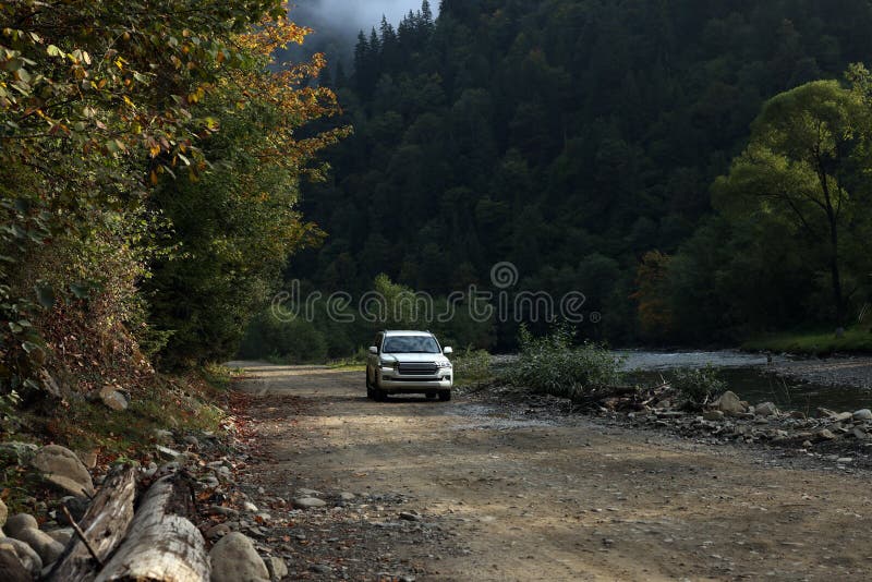 Modern White Car on Pathway in Forest Stock Image - Image of ...