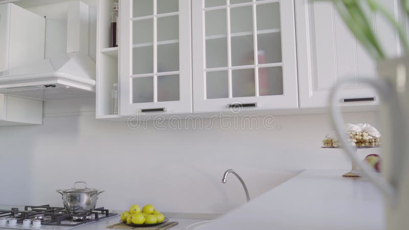 Modern Fully Fitted Kitchen with Kitchen Appliances in Army Green and ...