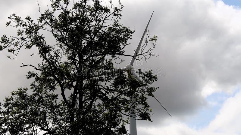 A Modern Wind Turbine Behind a Tree Stock Footage - Video of 30fps ...