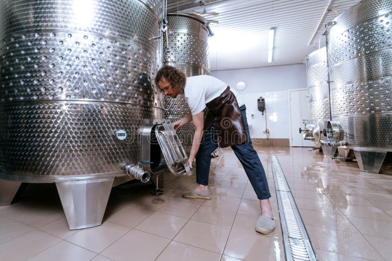 Modern Winery with Metal Barrels. Stock Photo - Image of barrel ...