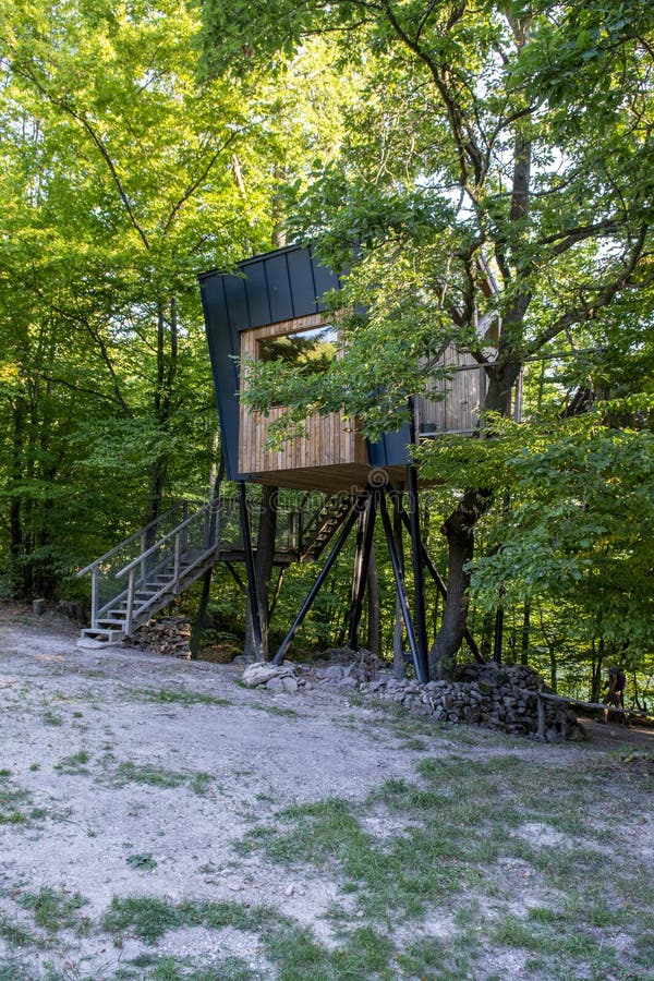 Modern Wooden Tree House in the Forest Stock Image - Image of home ...