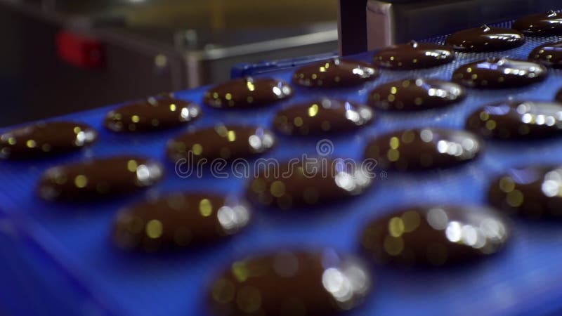 Liquid Chocolate Mass Poured into a Mold Moves Along a Conveyor. Close ...