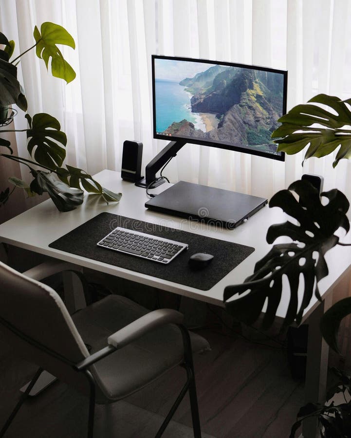 Modern Workplace with Homeplants Inside. Minimalism Stylish Interior ...