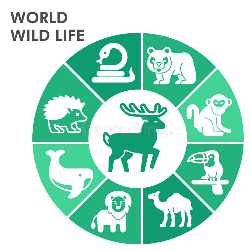 Modern World Wildlife Infographic Design Template. Wild Animals ...