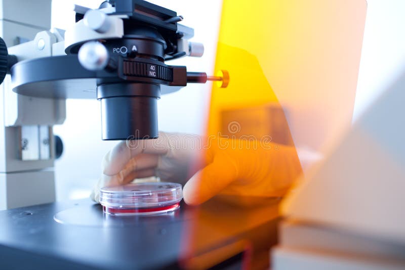 Modernes Mikroskop stockbild. Bild von medizinisch, biologie - 15426015