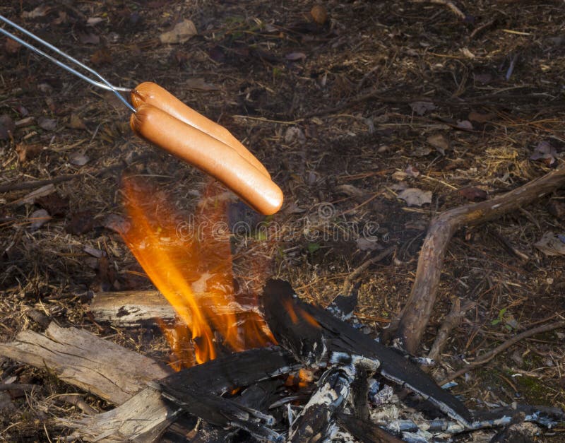 Cooking Hot Dogs Over The Campfire Stock Photo - Image of campfire ...