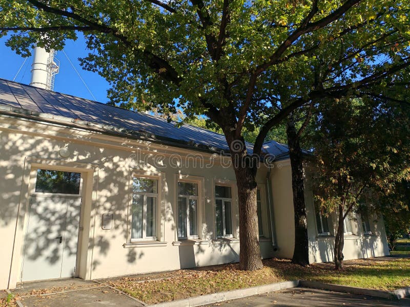 Modest White Building with Large Windows Nestled among Trees and ...