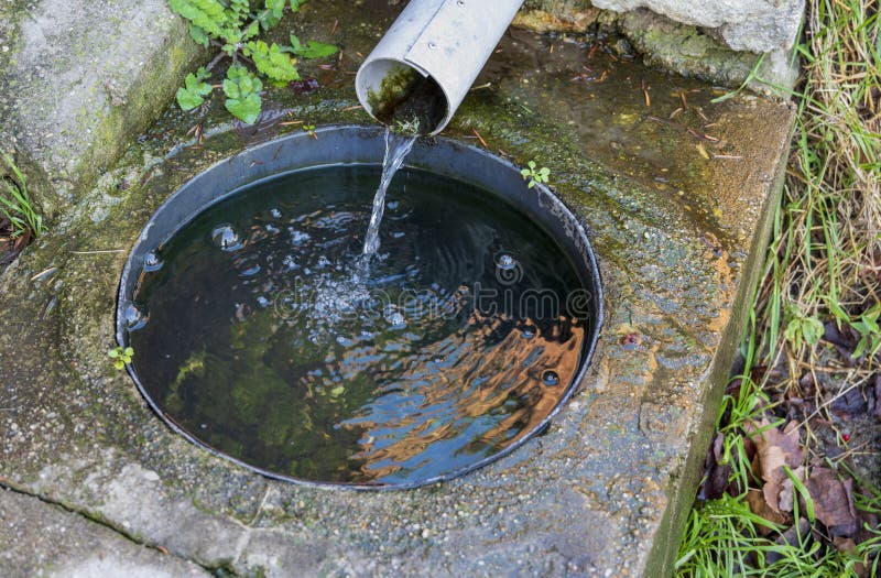 Modified Natural Spring. Water Flows Out of the Felt Pipe Stock Photo ...