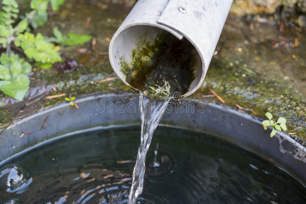 Modified Natural Spring. Water Flows Out of the Felt Pipe Stock Photo ...
