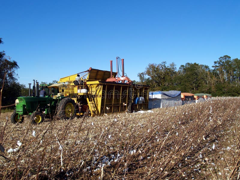 Cotton Module Builder stock image. Image of cottonfield - 7961605