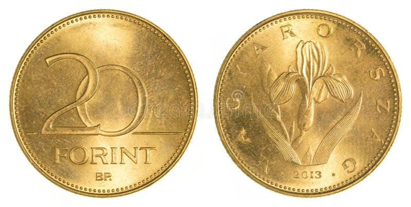 Moeda húngara da forint foto de stock. Imagem de moeda - 17396120