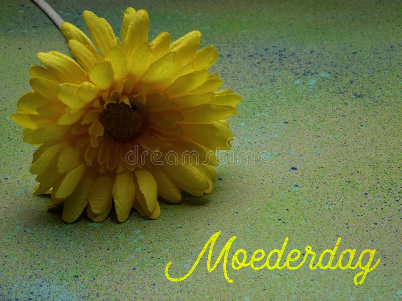 Moedersdag, Moederdag in Het Nederlands Gele Bloem, Ruimte Voor ... Moedersdag, Moederdag in Het Nederlands Gele Bloem, Ruimte Voor ...