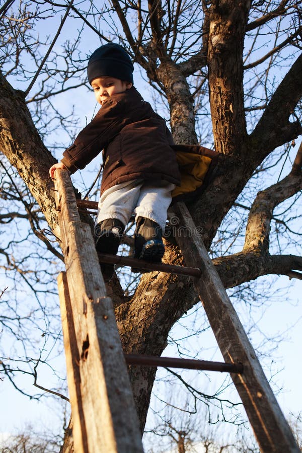 Moedig kind op ladder stock afbeelding. Image of moedig - 21933185