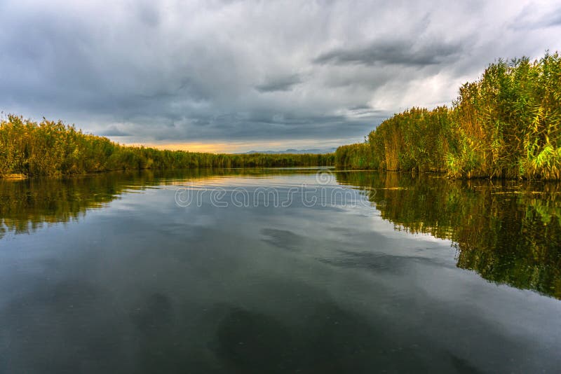 Moeras stock afbeelding. Image of moerasland, china, water - 53825507